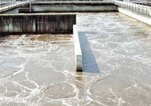 Rotary lobe sludge pump