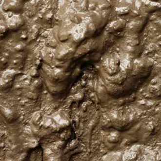 Rotary lobe sludge pump