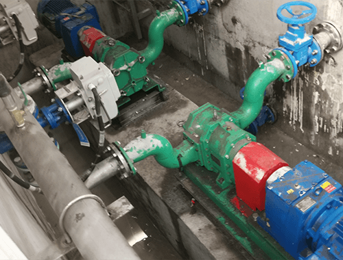 Biogas rotary lobe pump