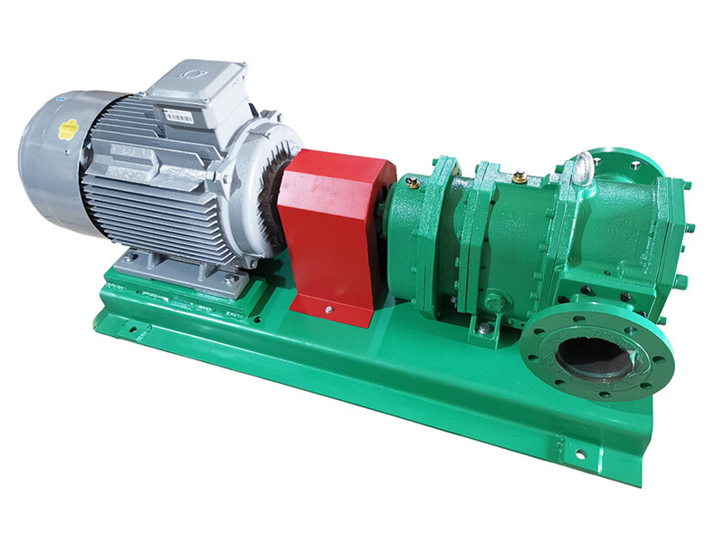 Biogas rotary lobe pump