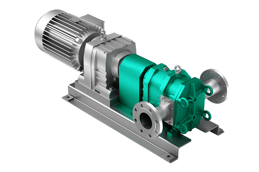 Biogas rotary lobe pump