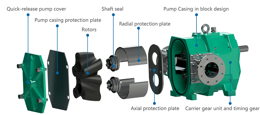 Biogas rotary lobe pump