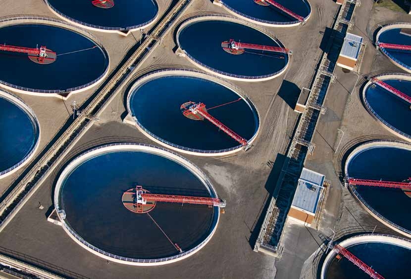 Rotary lobe sludge pump