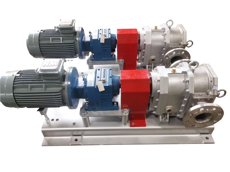 Stainless steel lobe pump